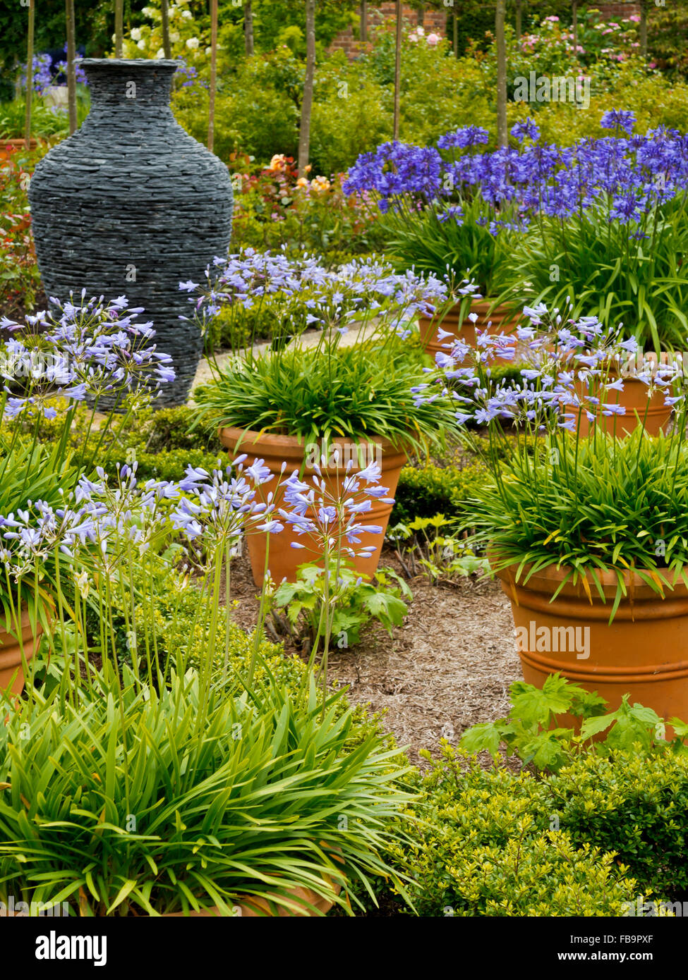 Flowers in pots at Alnwick Gardens in Northumberland England UK ...
