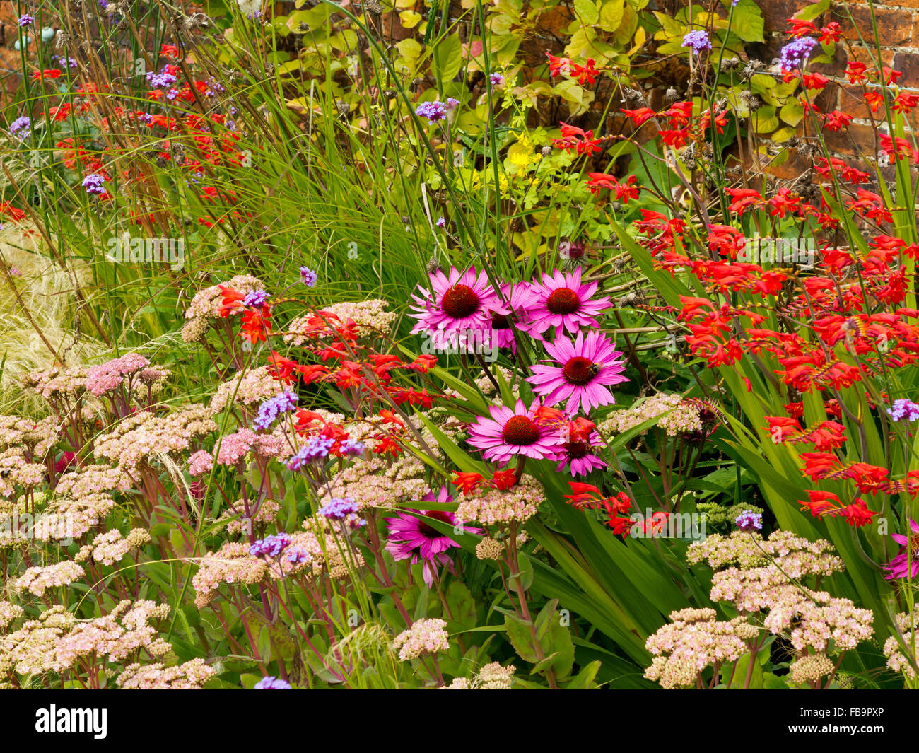 Late summer flower borders at Alnwick Gardens in Northumberland England ...
