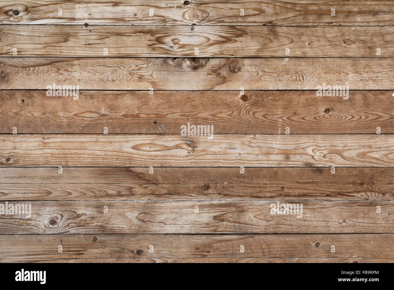 Realistic tones hi-res stock photography and images - Alamy