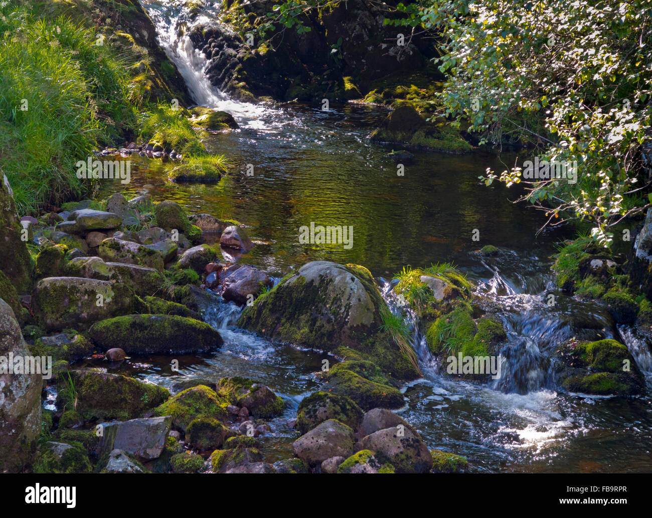 Linhope Spout an 188 metre chute of water in the Cheviot Hills near ...
