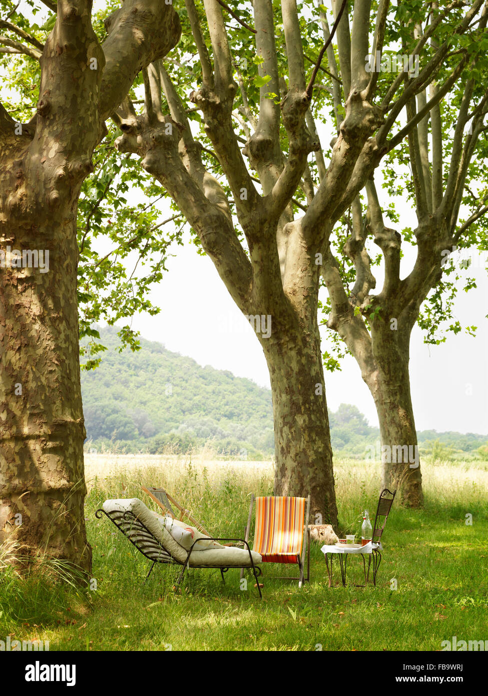 Chair under trees hi-res stock photography and images - Alamy