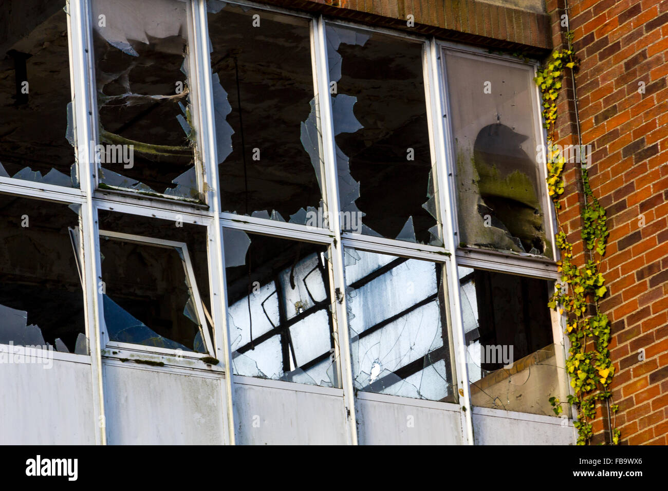 Smashed Windows in the Derelict Unigate Factory, Great Torrington ...