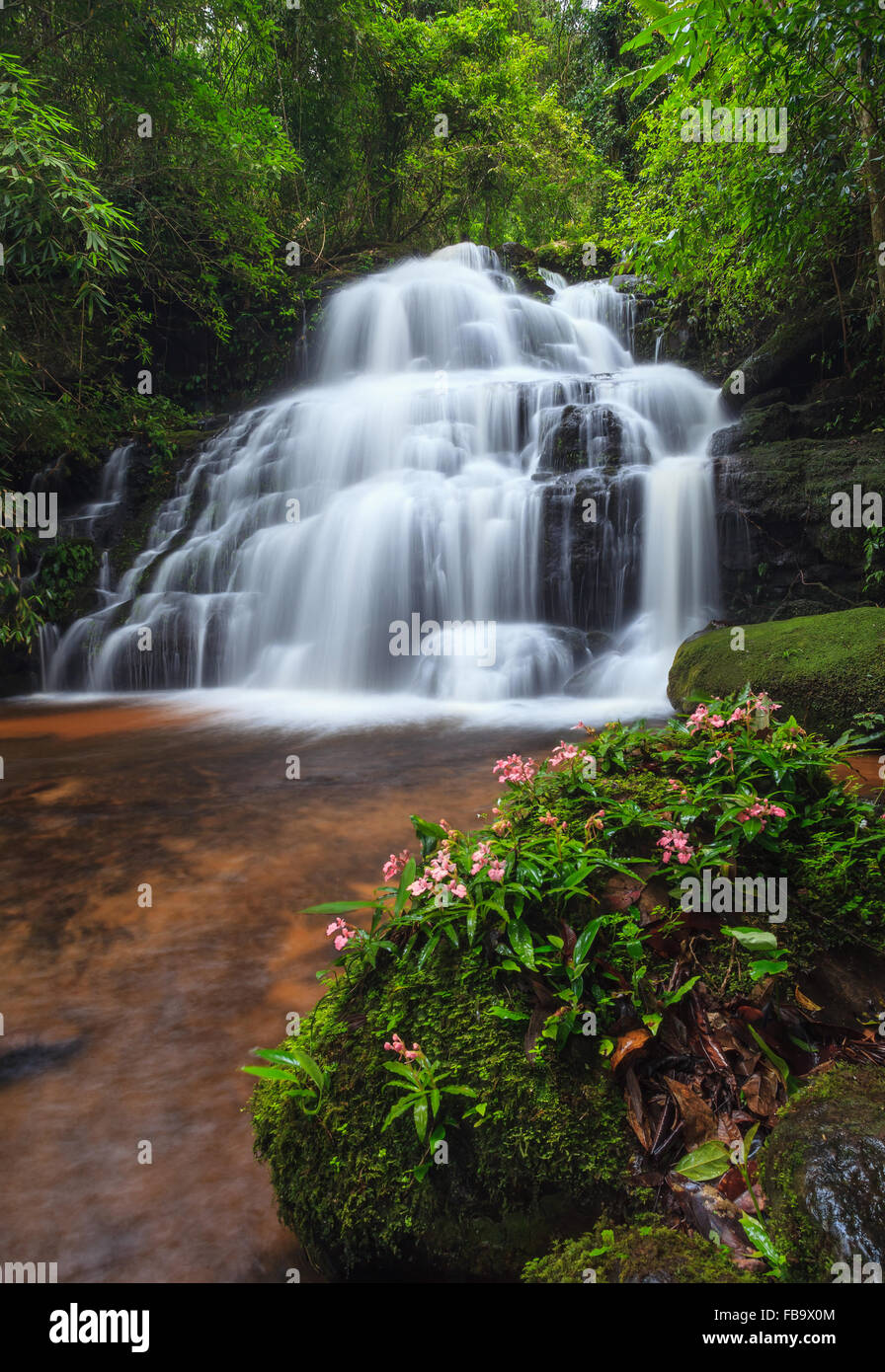 tropical waterfall in Deep forest with flower Stock Photo - Alamy