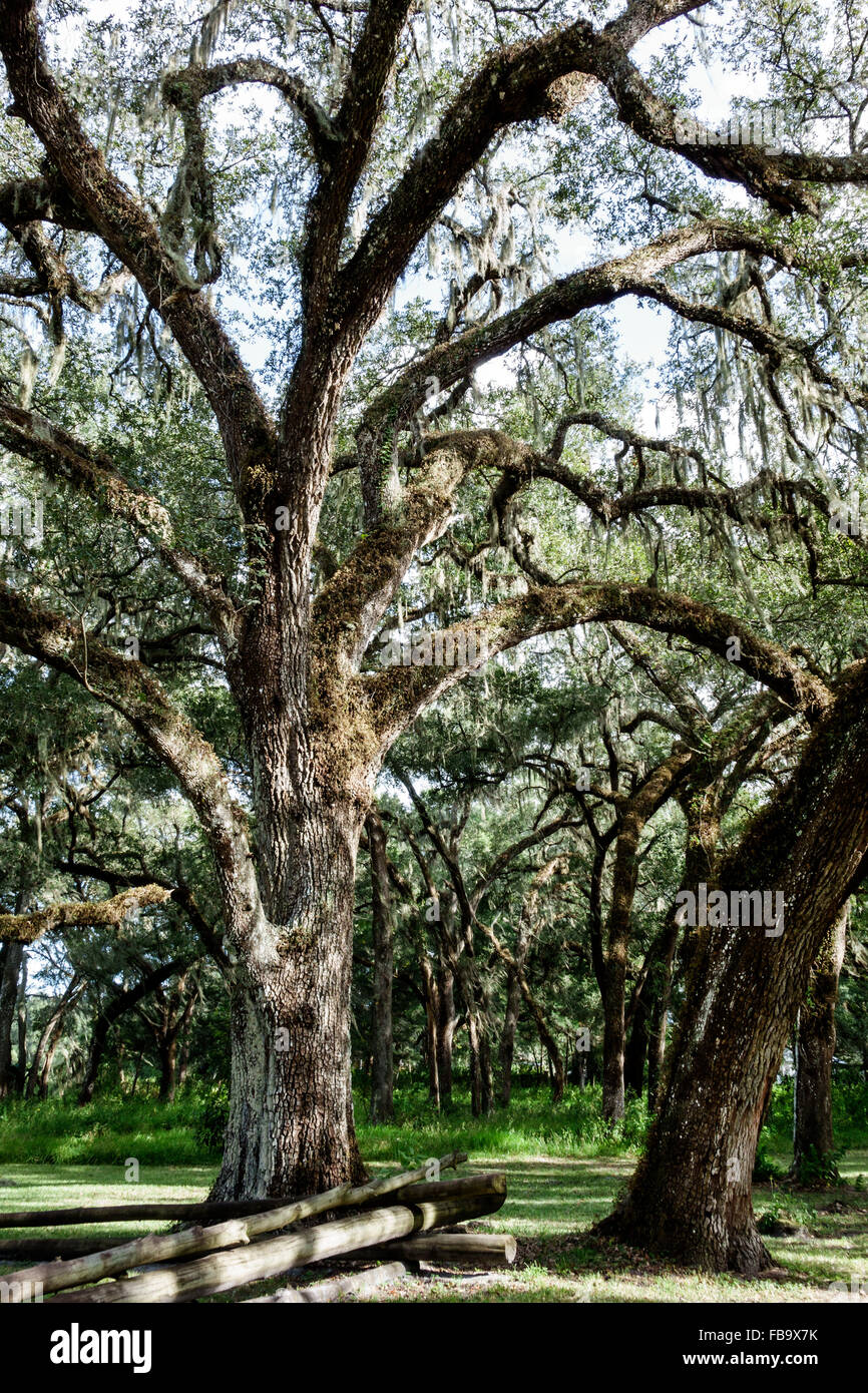 Florida Bushnell,Dade Battlefield historic State Park,massacre site ...