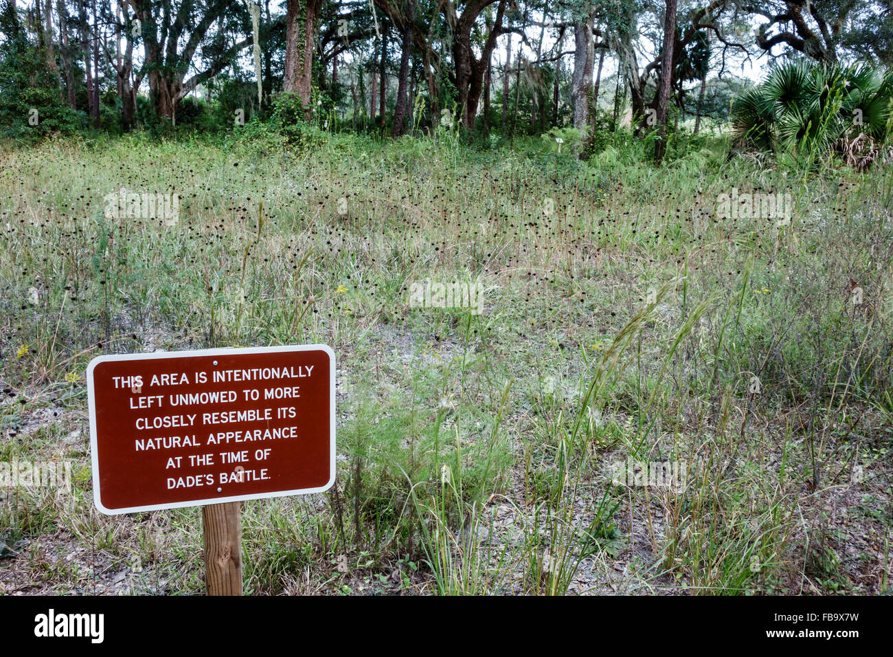 Florida Bushnell,Dade Battlefield historic State Park,massacre site ...