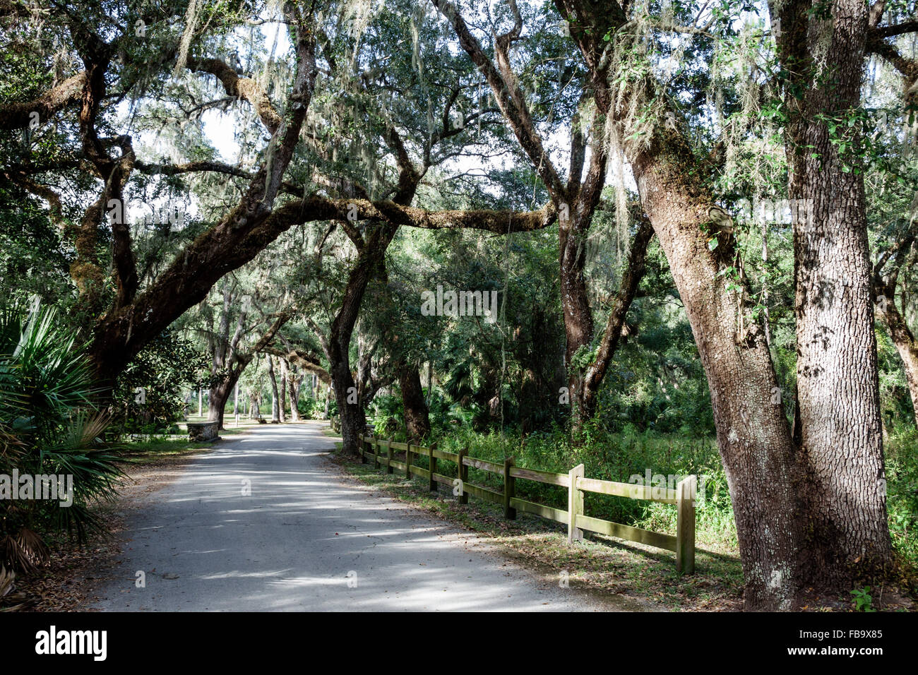 Florida Bushnell,Dade Battlefield historic State Park,massacre site ...