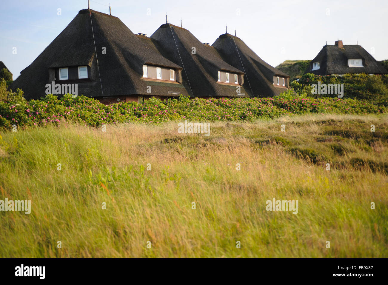 Sylt island - Germany Stock Photo - Alamy