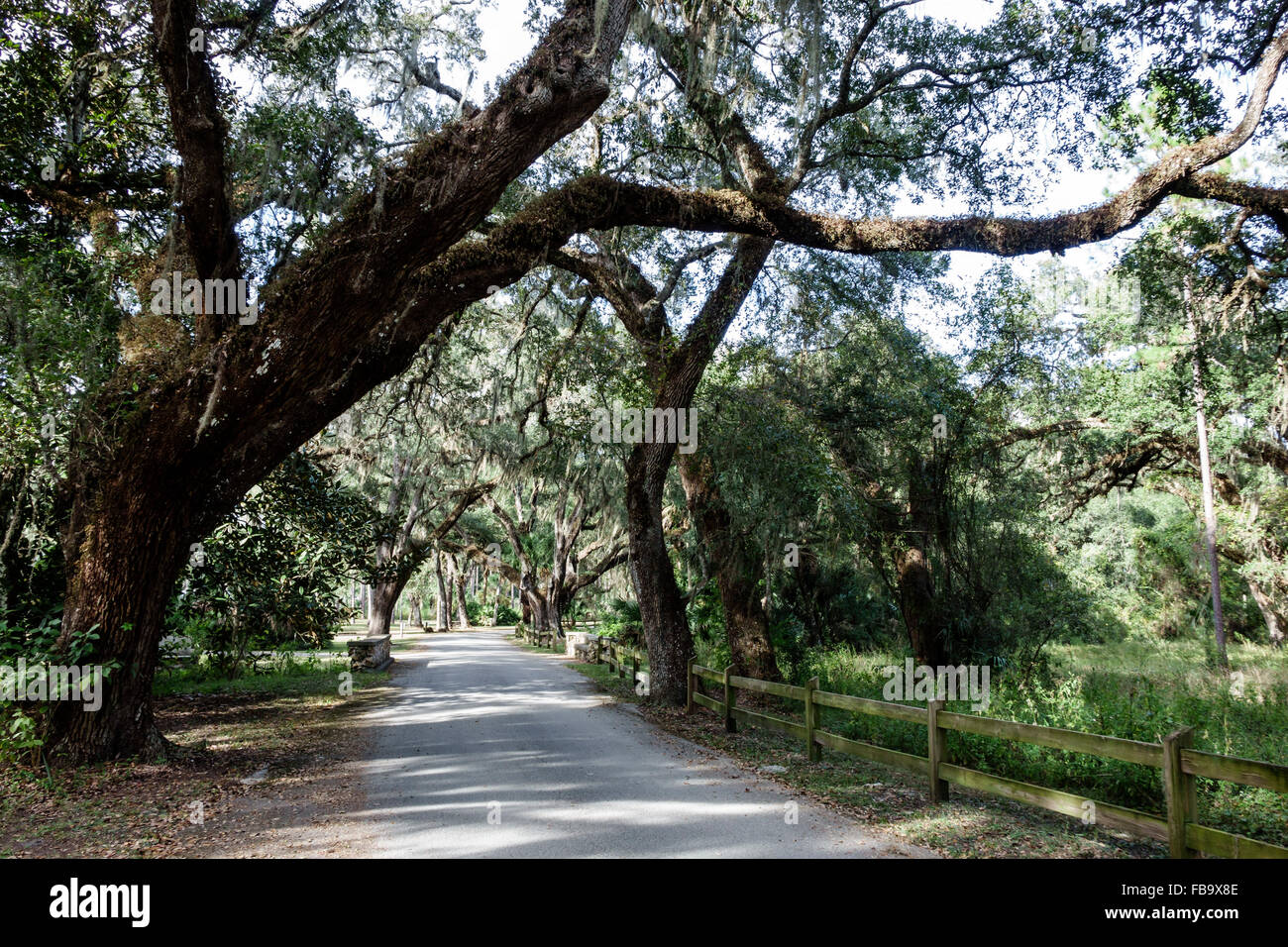 Florida Bushnell,Dade Battlefield historic State Park,massacre site ...