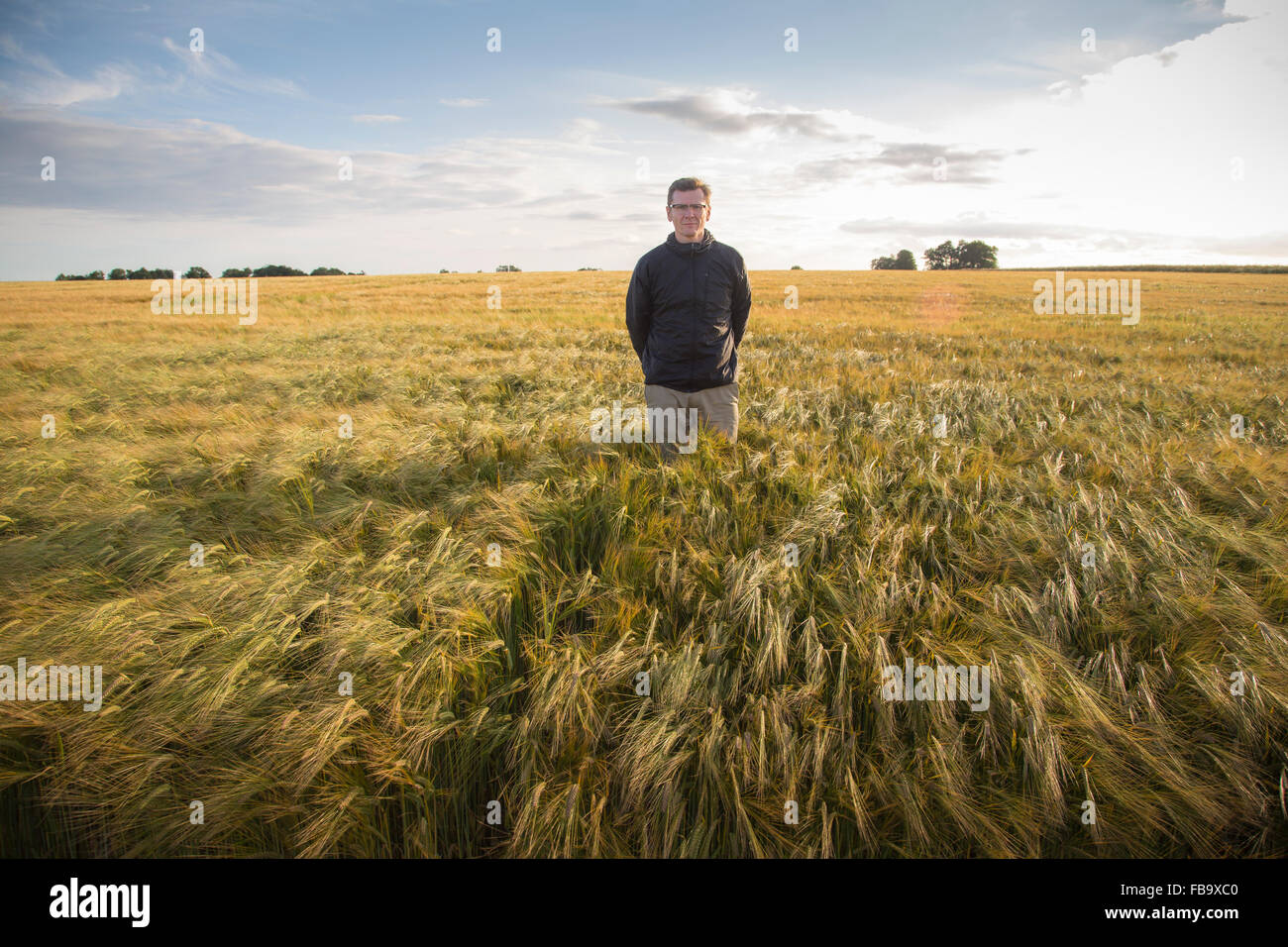 Northern rye hi-res stock photography and images - Alamy