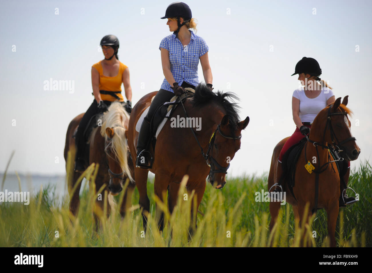 3 girls horse riding sylt island hi-res stock photography and images ...