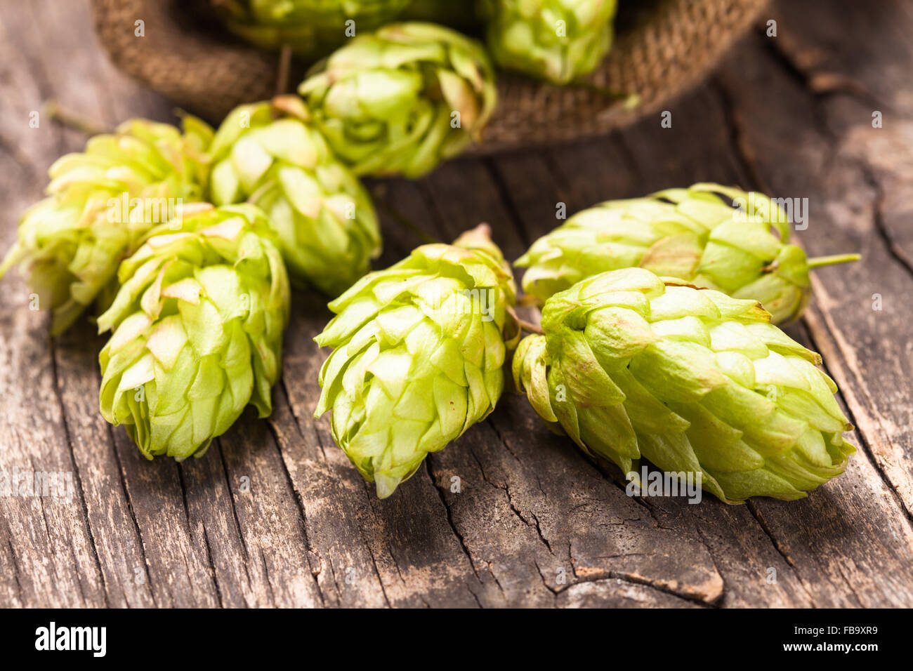 The hops heap Stock Photo - Alamy