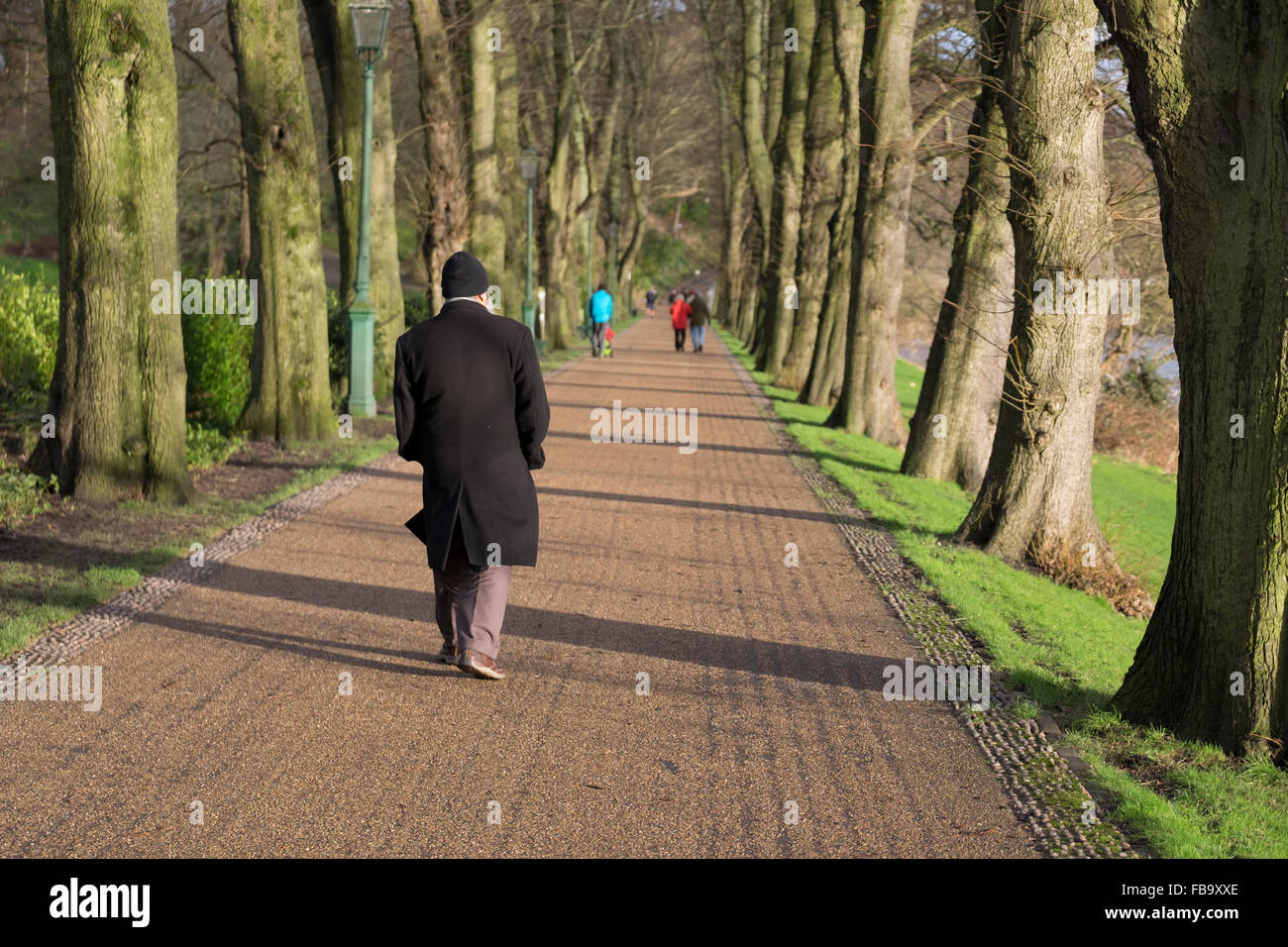Avenham Park, Preston, Lancashire. A man taking a stroll through ...