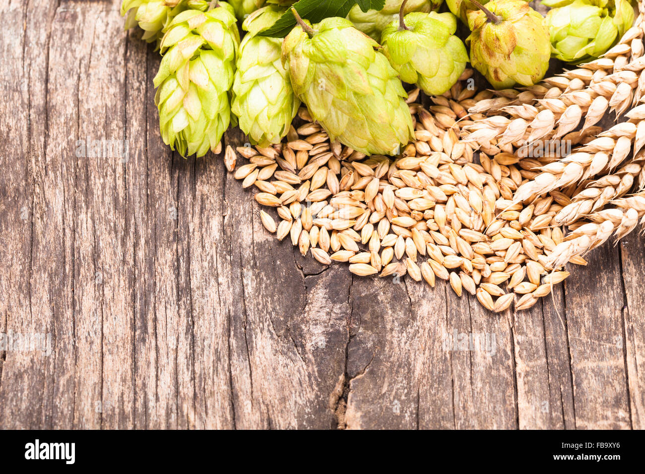 The Beer concept Stock Photo - Alamy