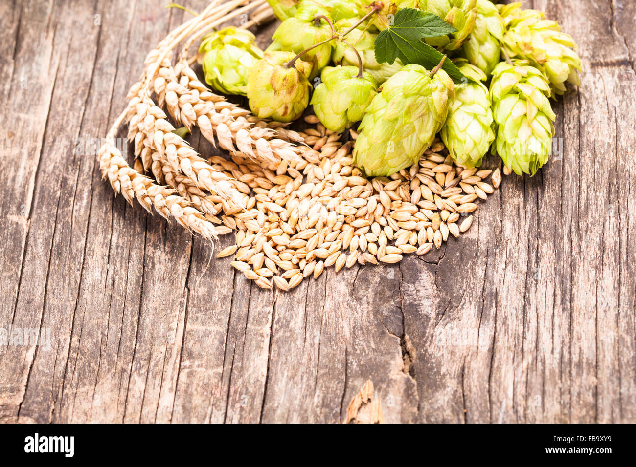 The Beer concept Stock Photo - Alamy