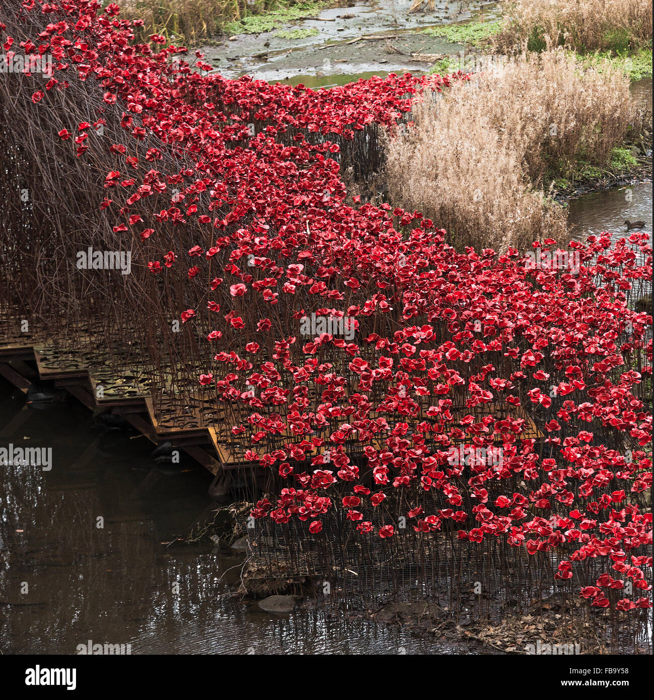 Bright Red Ceramic Poppy Sculpture The Wave at Yorkshire Sculpture Park ...