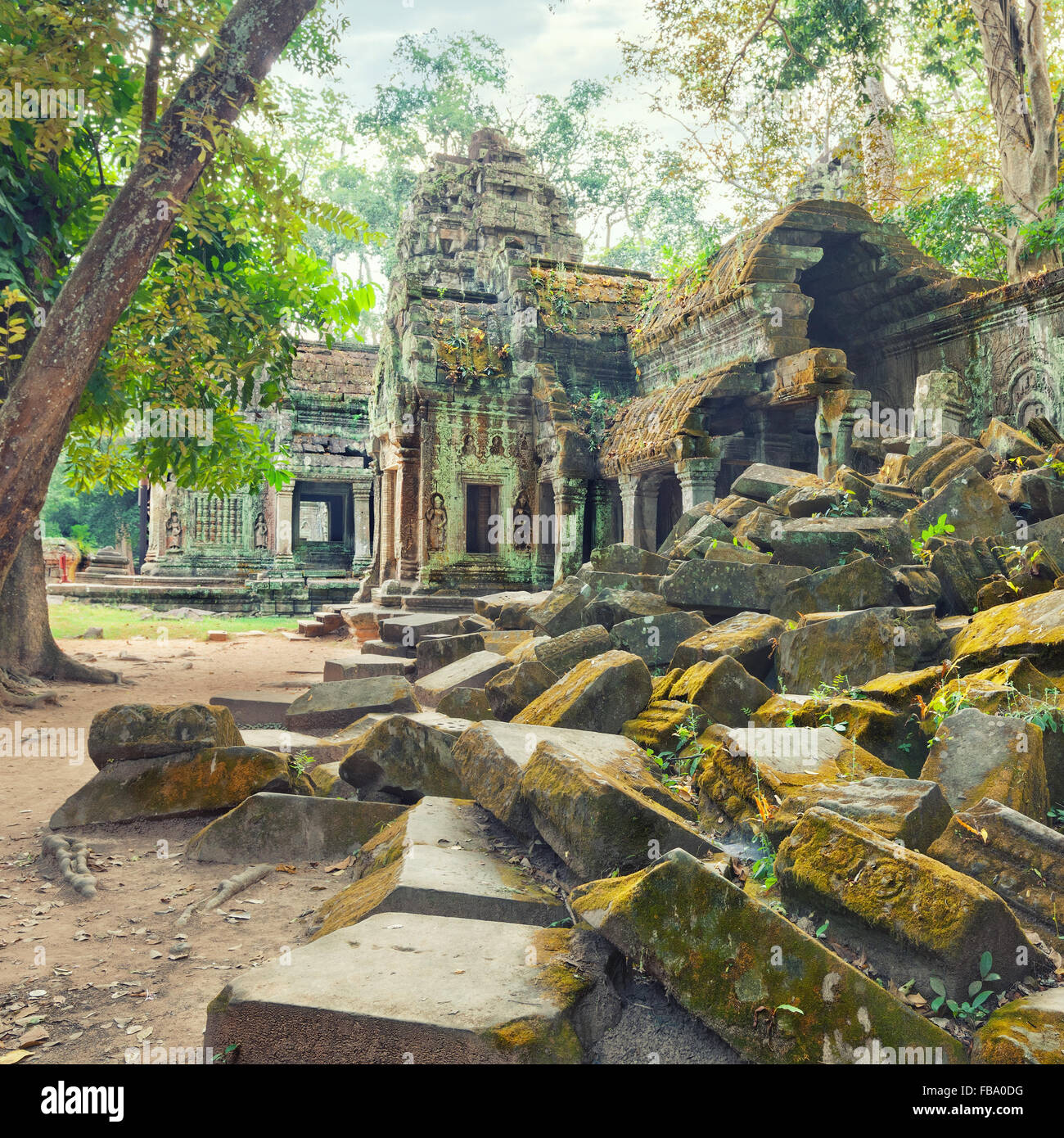 Ta Prohm Temple ancient ruins, Angkor Stock Photo - Alamy