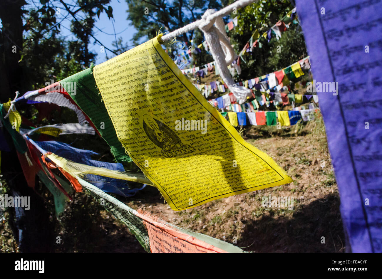 Tibetan prayer flags, Dharamsala, India Stock Photo - Alamy