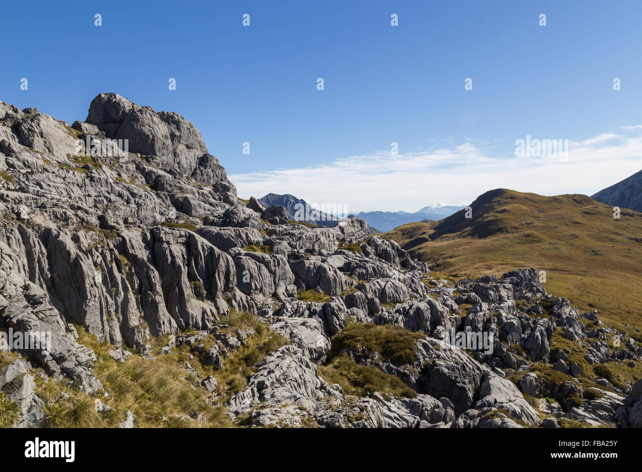 Karst formation in Kahurangi National Park Stock Photo - Alamy