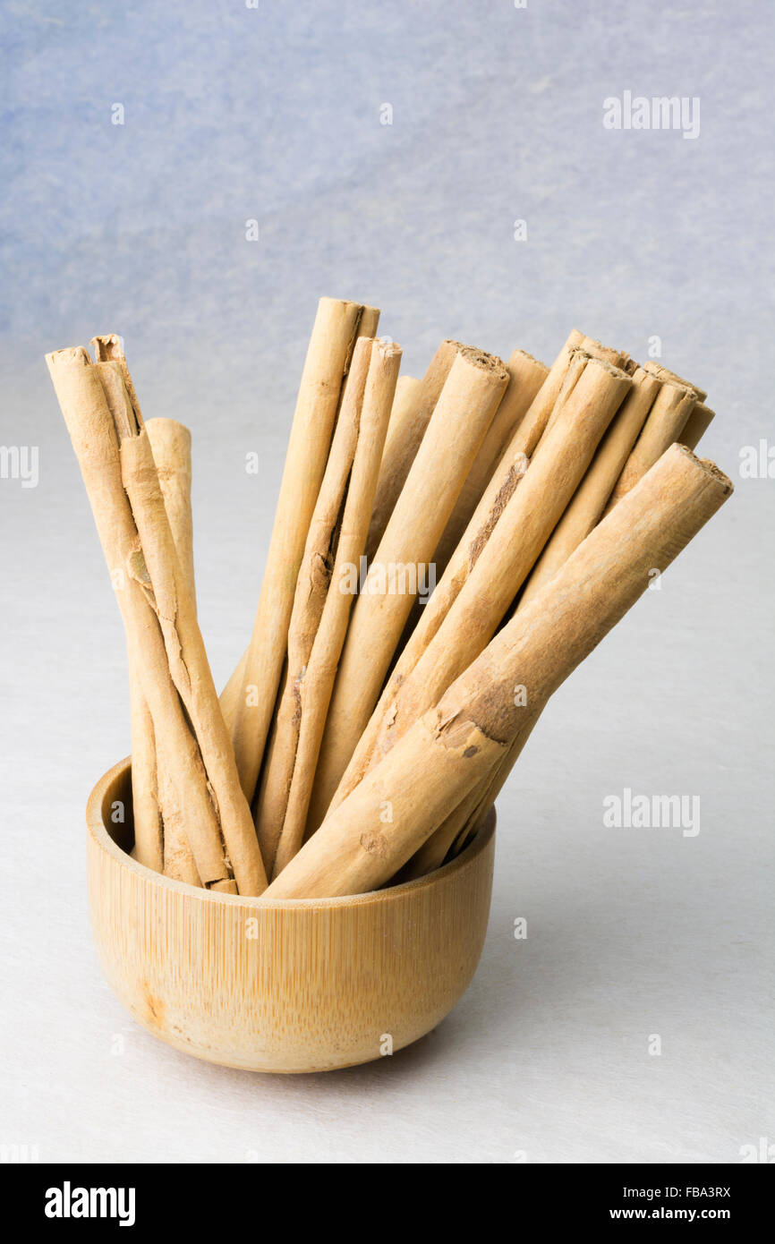 Alba Ceylon Cinnamon sticks (Cinnamomum zeylanicum) in a wooden cup ...