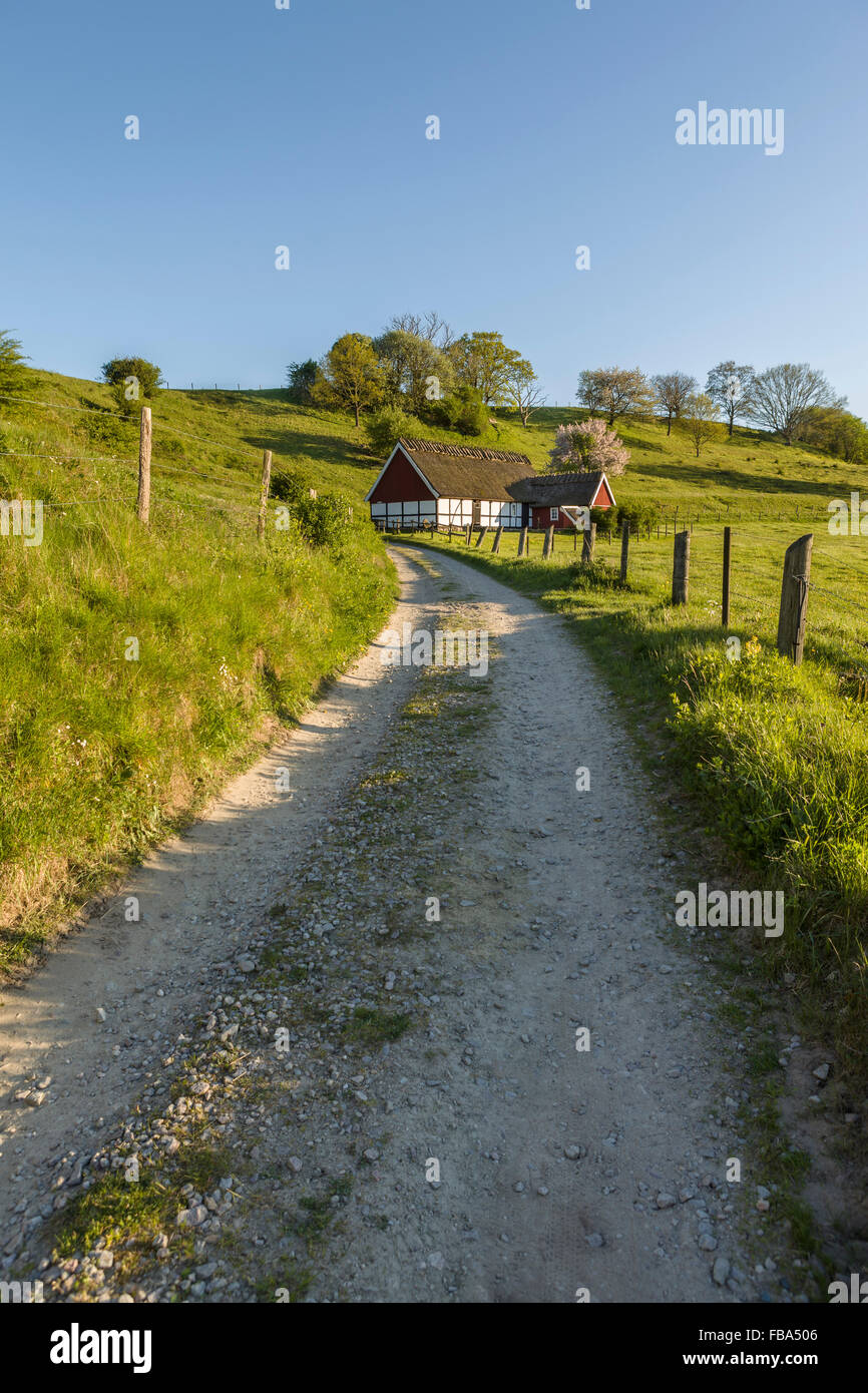 Small country road to a cottage in pastoral countryside landscape in ...