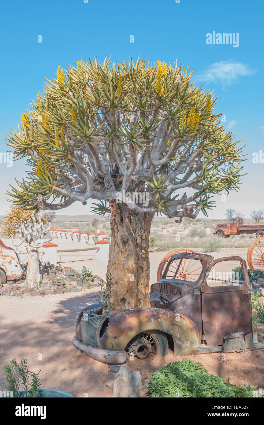 Tree growing through old car hi-res stock photography and images - Alamy
