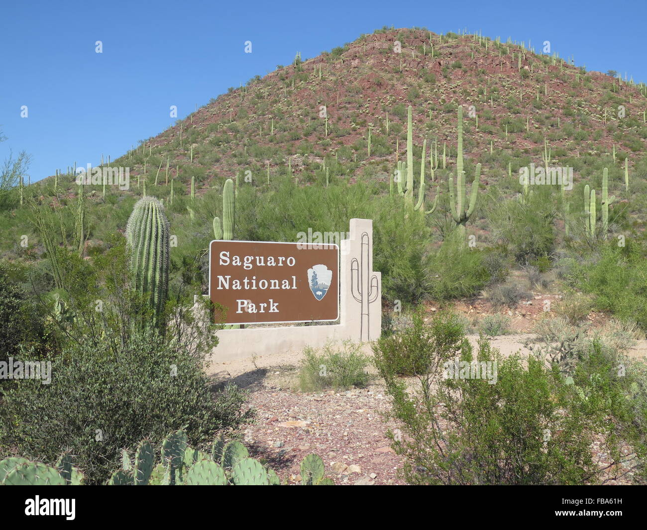 Saguaro national park sign hi-res stock photography and images - Alamy