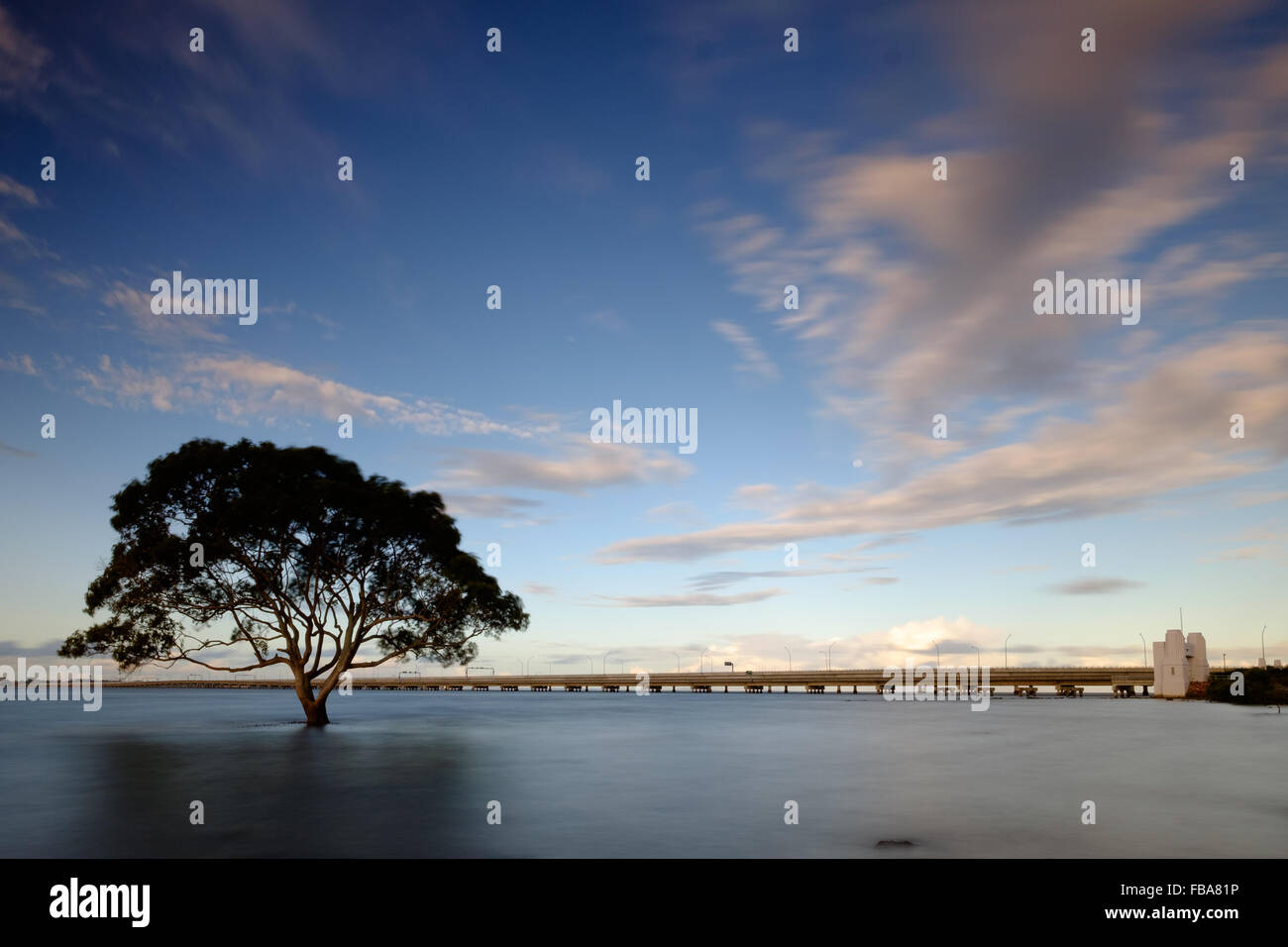 At Brighton Park Stock Photo - Alamy