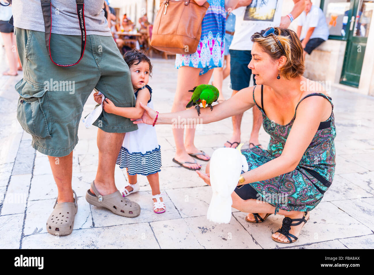 Pet parrot hi-res stock photography and images - Alamy