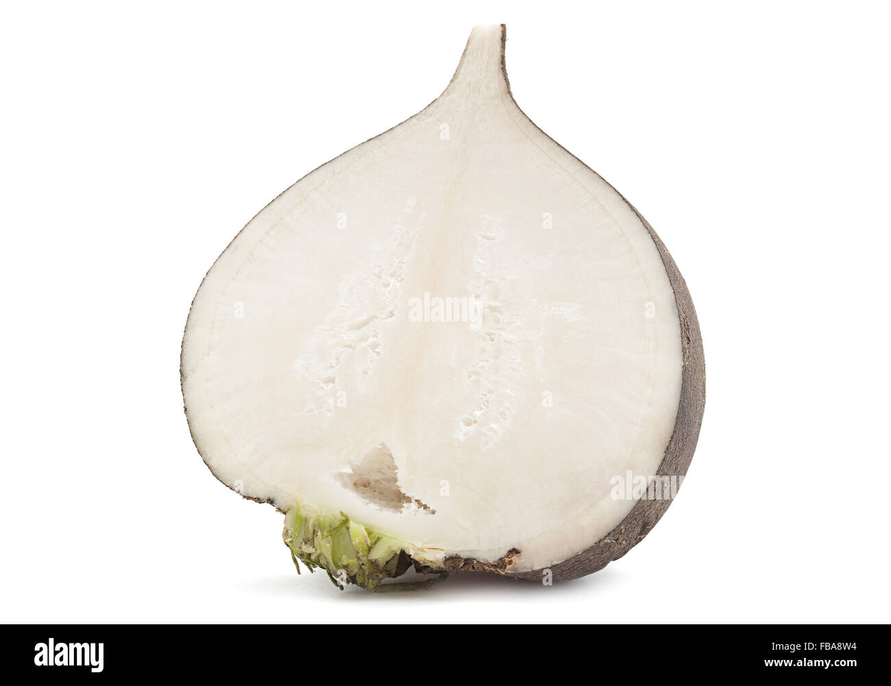 Black big radish slice vegetable closeup isolated on white Stock Photo ...