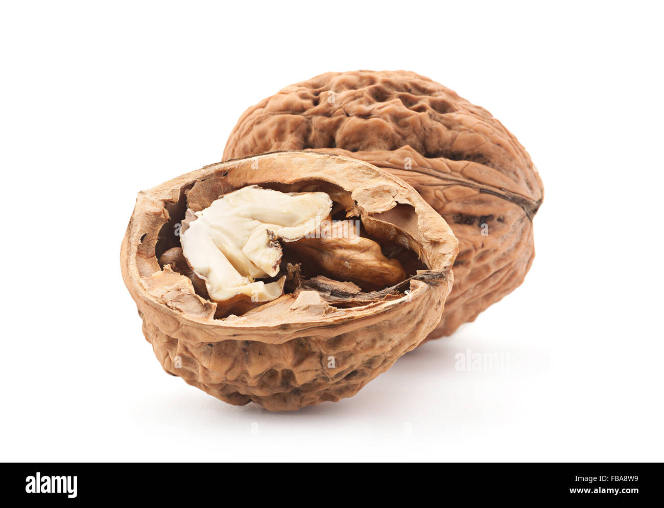 Walnut fruit closeup isolated on white background Stock Photo - Alamy