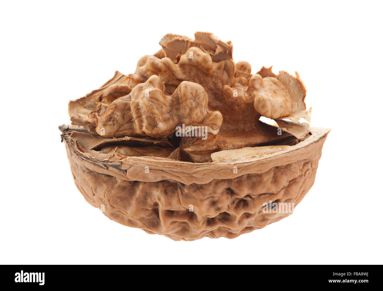 Walnut fruit closeup isolated on white background Stock Photo - Alamy