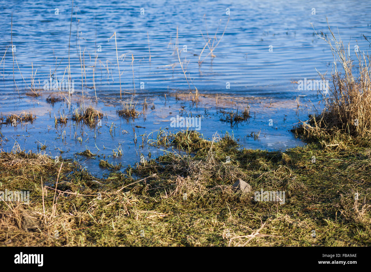 Shore of the Oder River between Germany and Poland in the afternoon ...