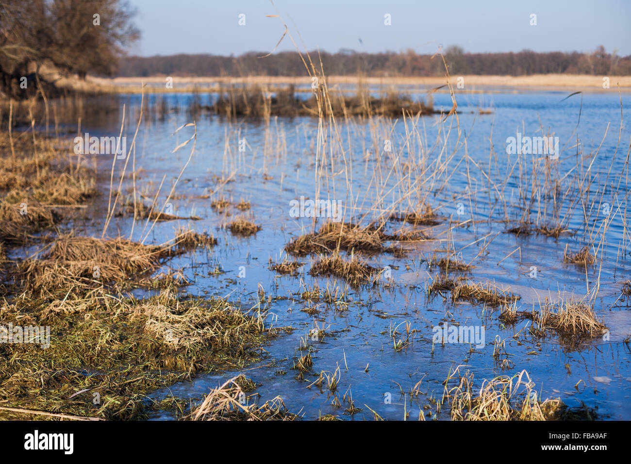 Shore of the Oder River between Germany and Poland in the afternoon ...
