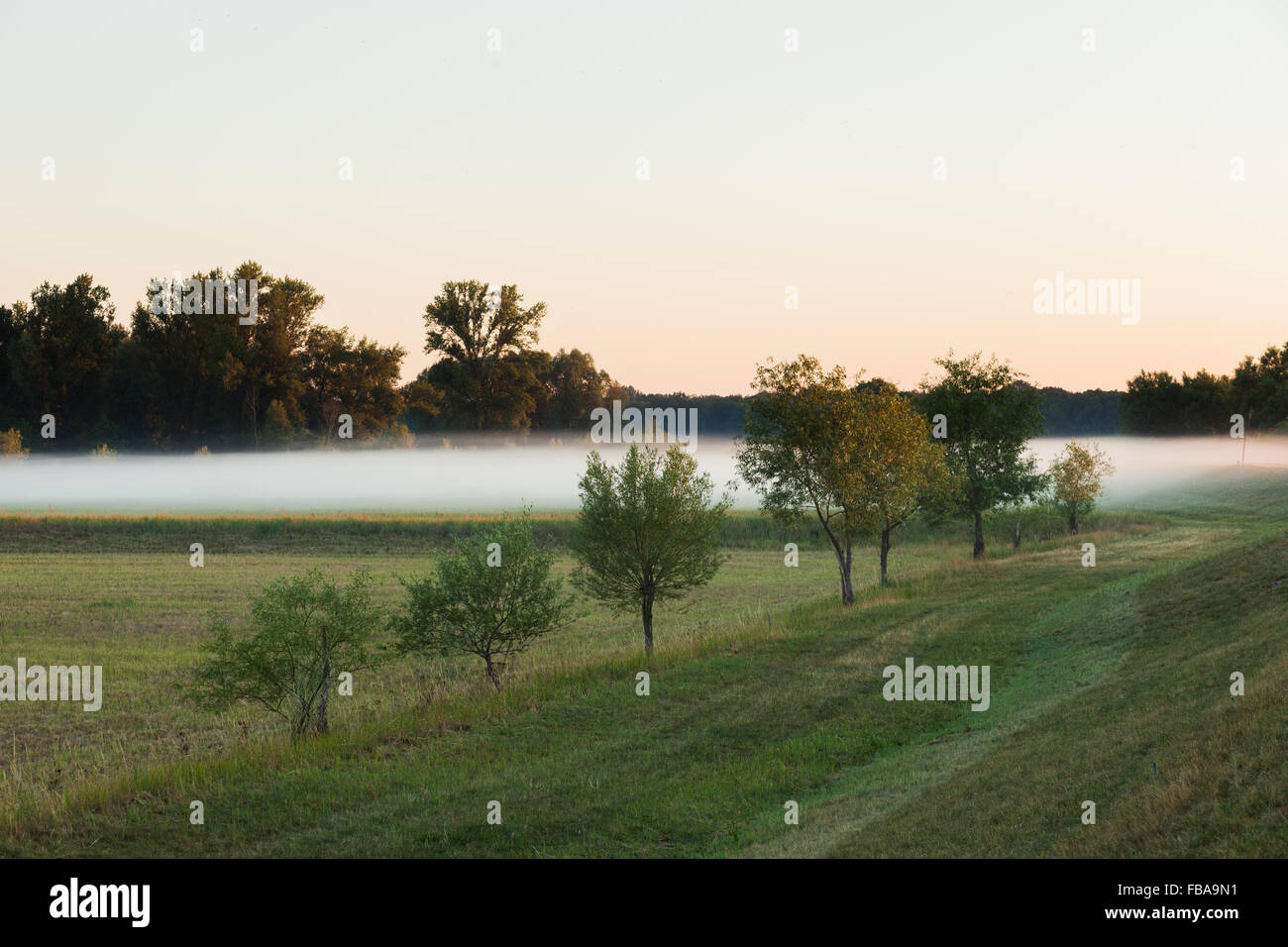 Hidden layer hi-res stock photography and images - Alamy