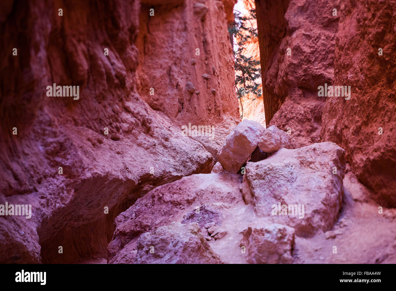 View inside narrow canyon hi-res stock photography and images - Alamy