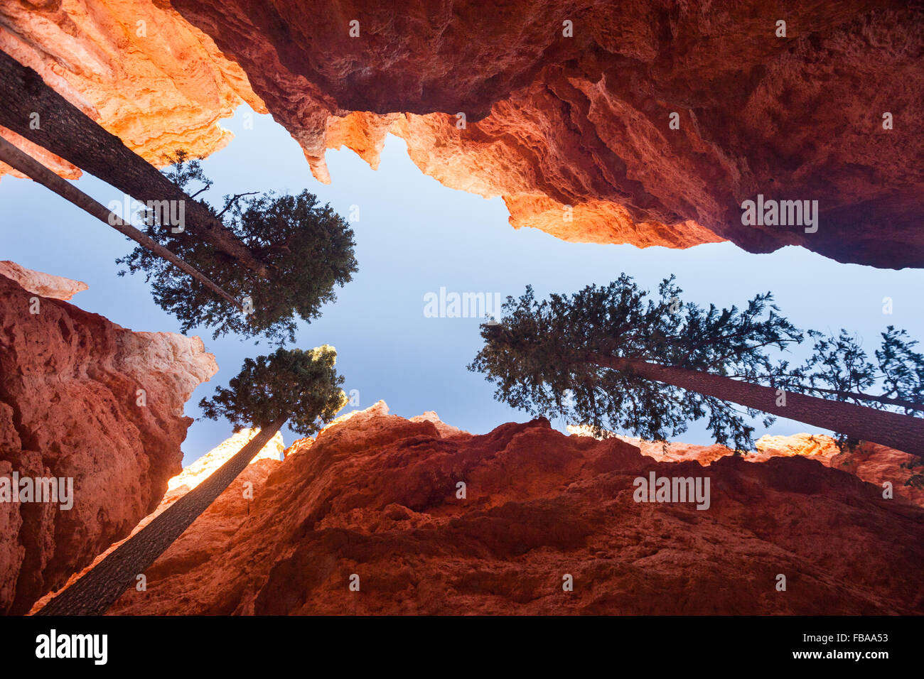 View inside a canyon, Bryce Canyon National Park Stock Photo - Alamy