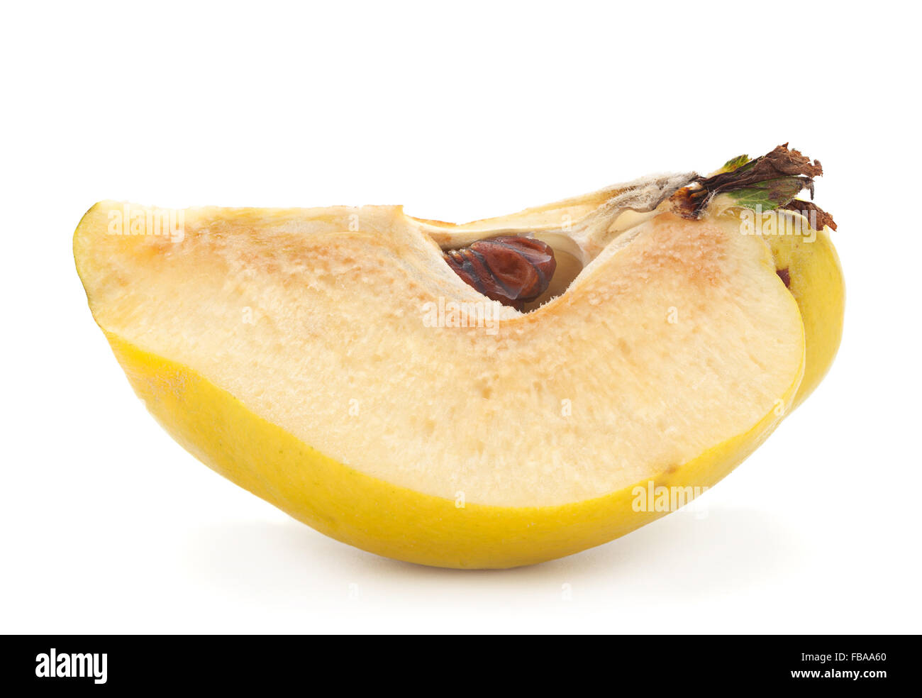 Quince fruit closeup isolated on white background Stock Photo - Alamy