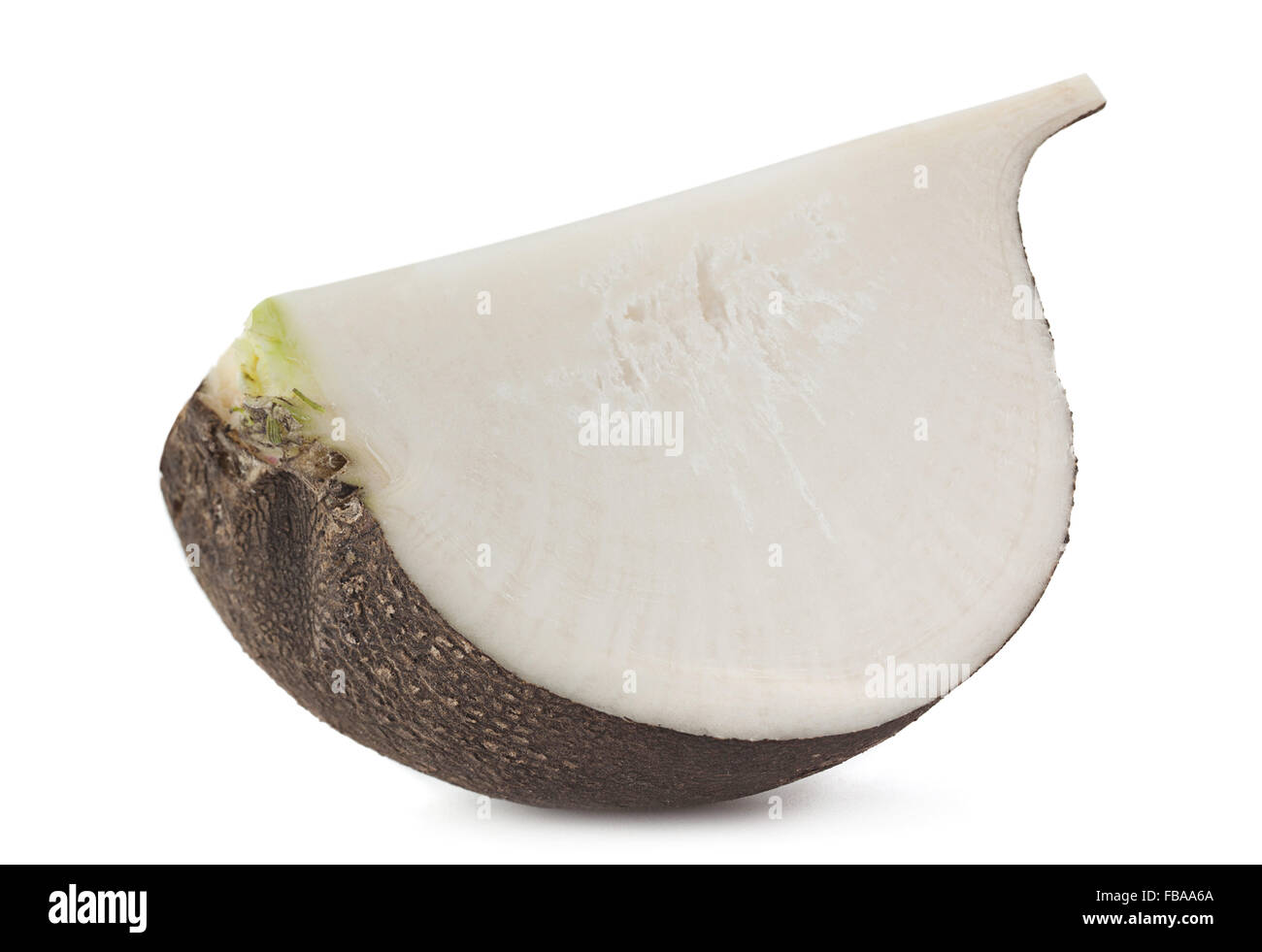 Black big radish slice vegetable closeup isolated on white Stock Photo ...