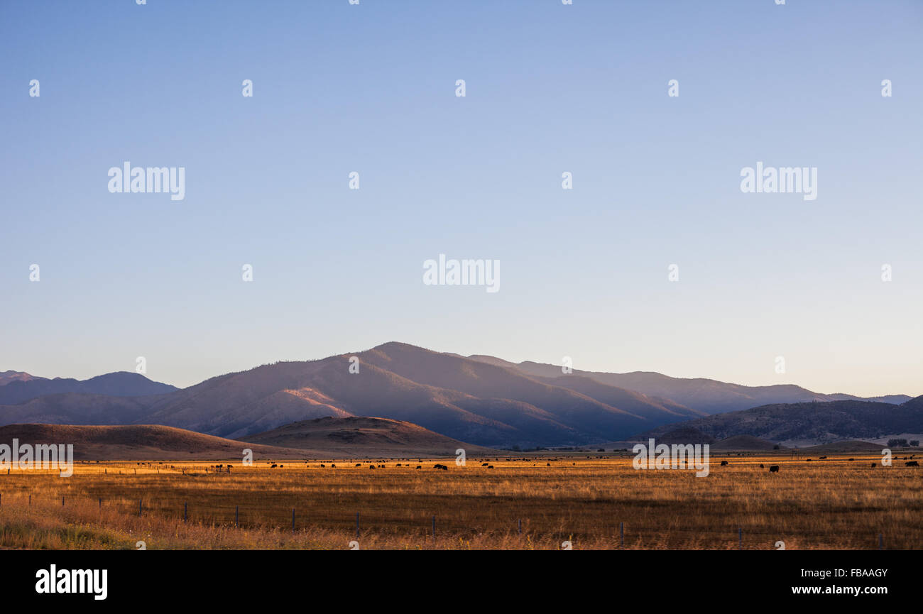 View over desert farmland, rural Washington State Stock Photo - Alamy