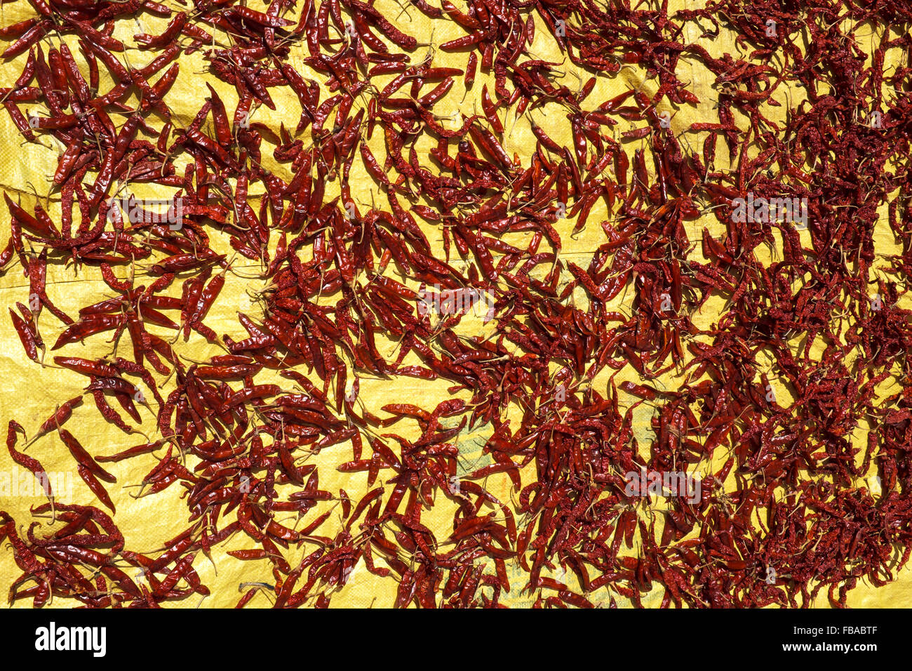 Drying spices in india hi-res stock photography and images - Alamy