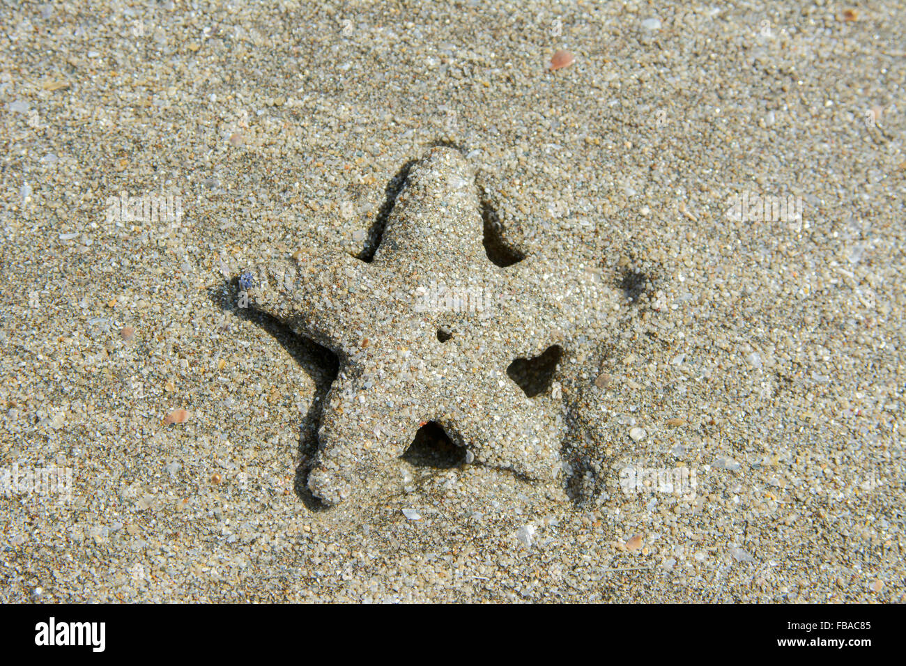 Star shaped sand hi-res stock photography and images - Alamy
