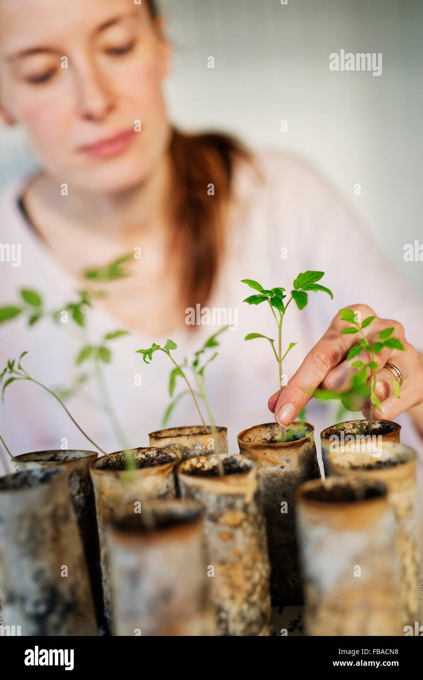 Seedling hand hi-res stock photography and images - Alamy