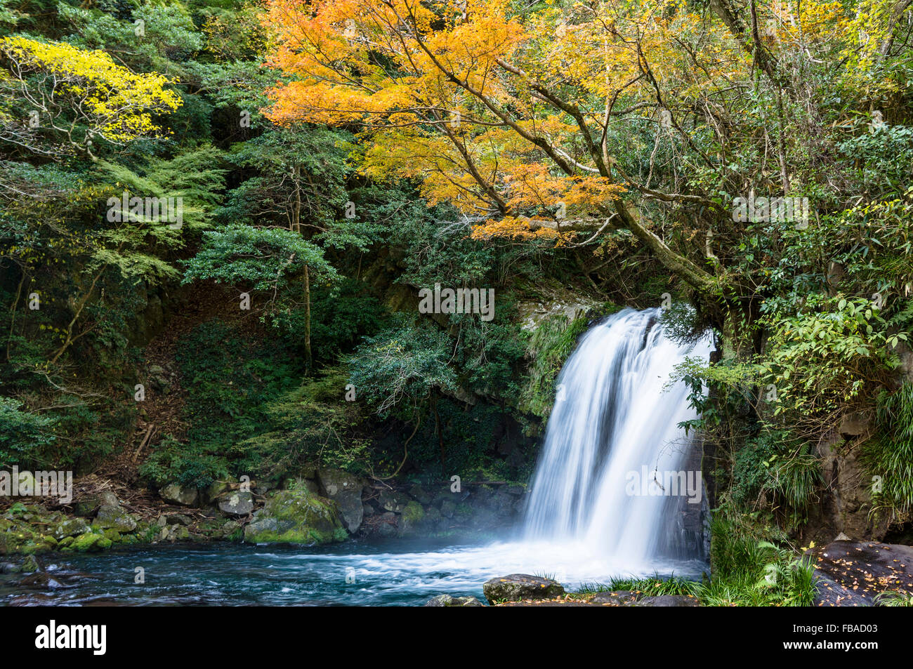 Shokeidaru Waterfall, Kawazu Nanadar, Shizuoka Prefecture, Japan Stock ...
