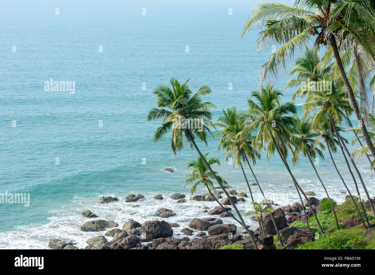 Palm fringed hillside at Rajbagh beach, Cabo de Rama, Cola, South Goa ...