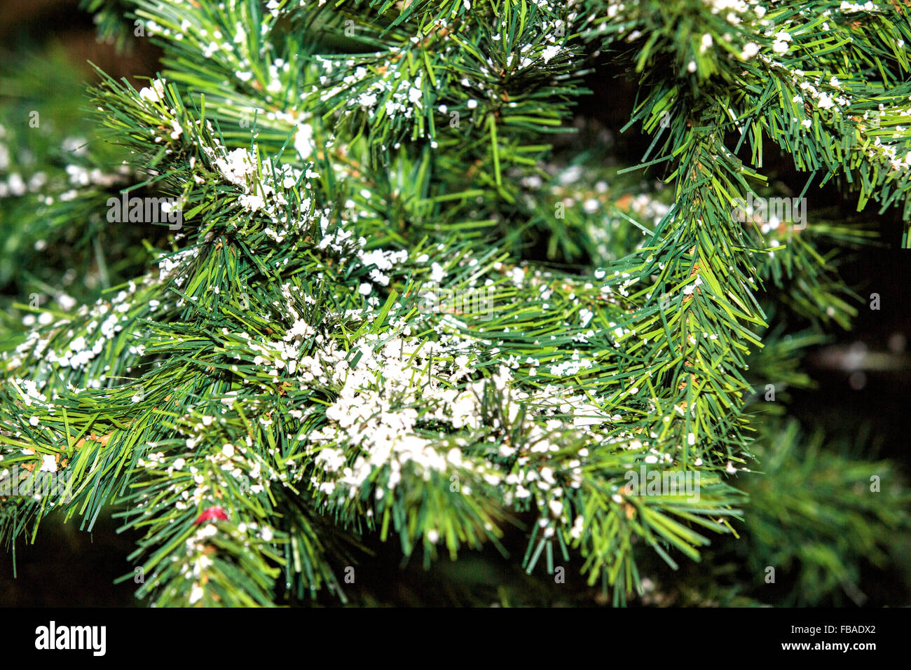 Winter tree branch covered with snow Stock Photo - Alamy