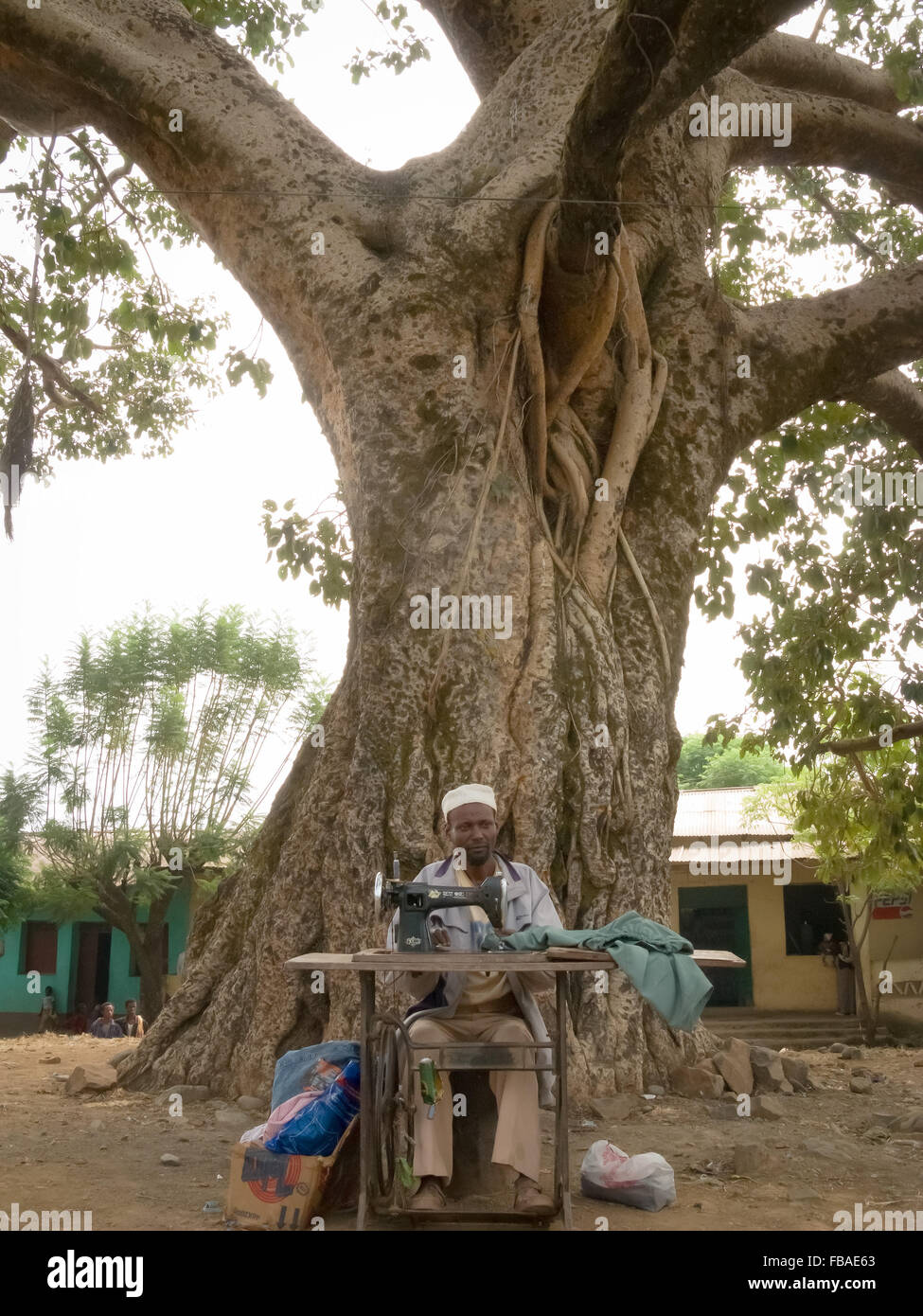 Under a big tree hi-res stock photography and images - Alamy