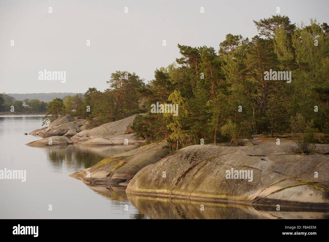 coast of the Stockholm Archipelago, Sweden Stock Photo - Alamy