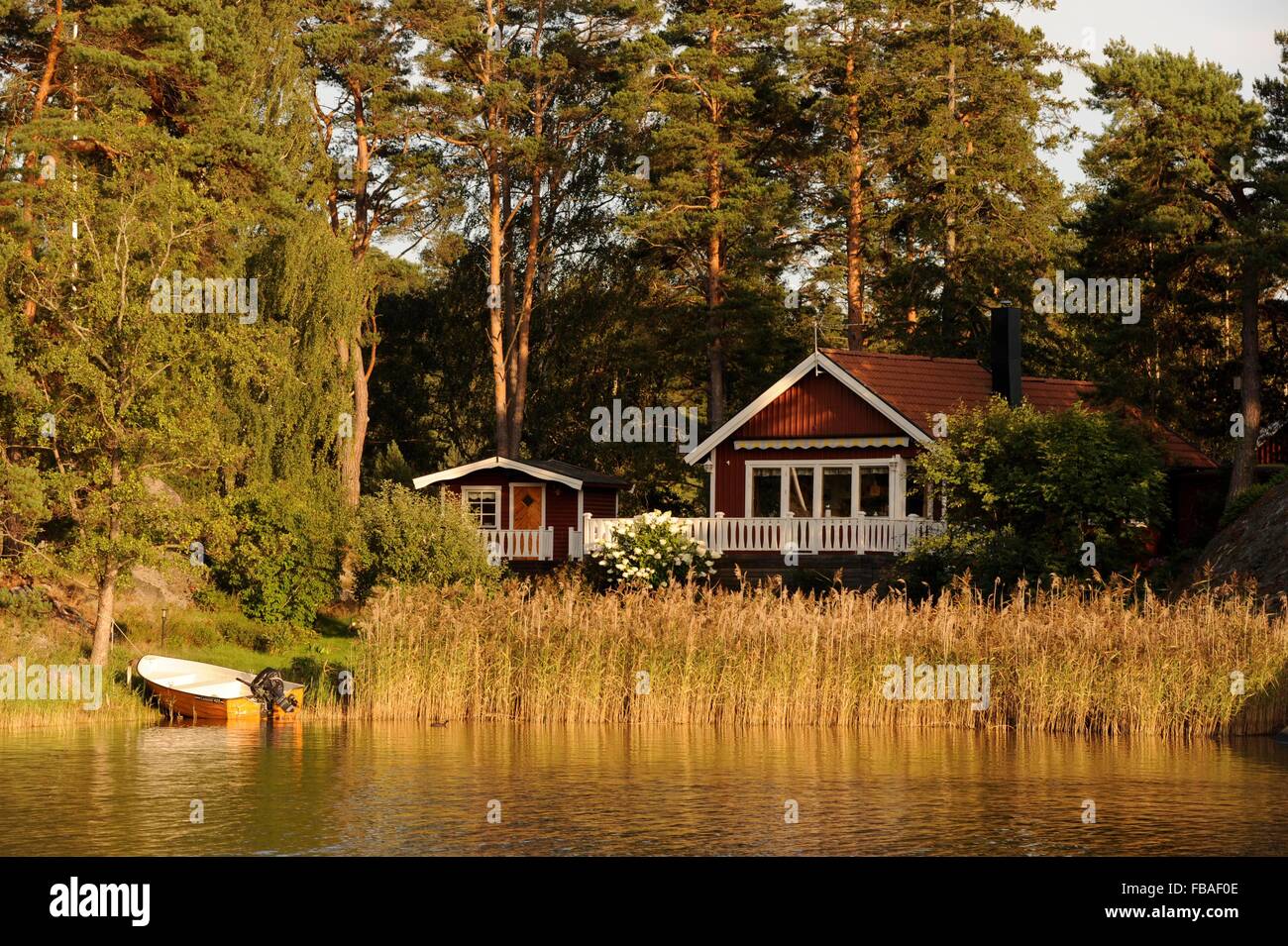 cottages in the forest of the Stockholm Archipelago Sweden Stock Photo ...