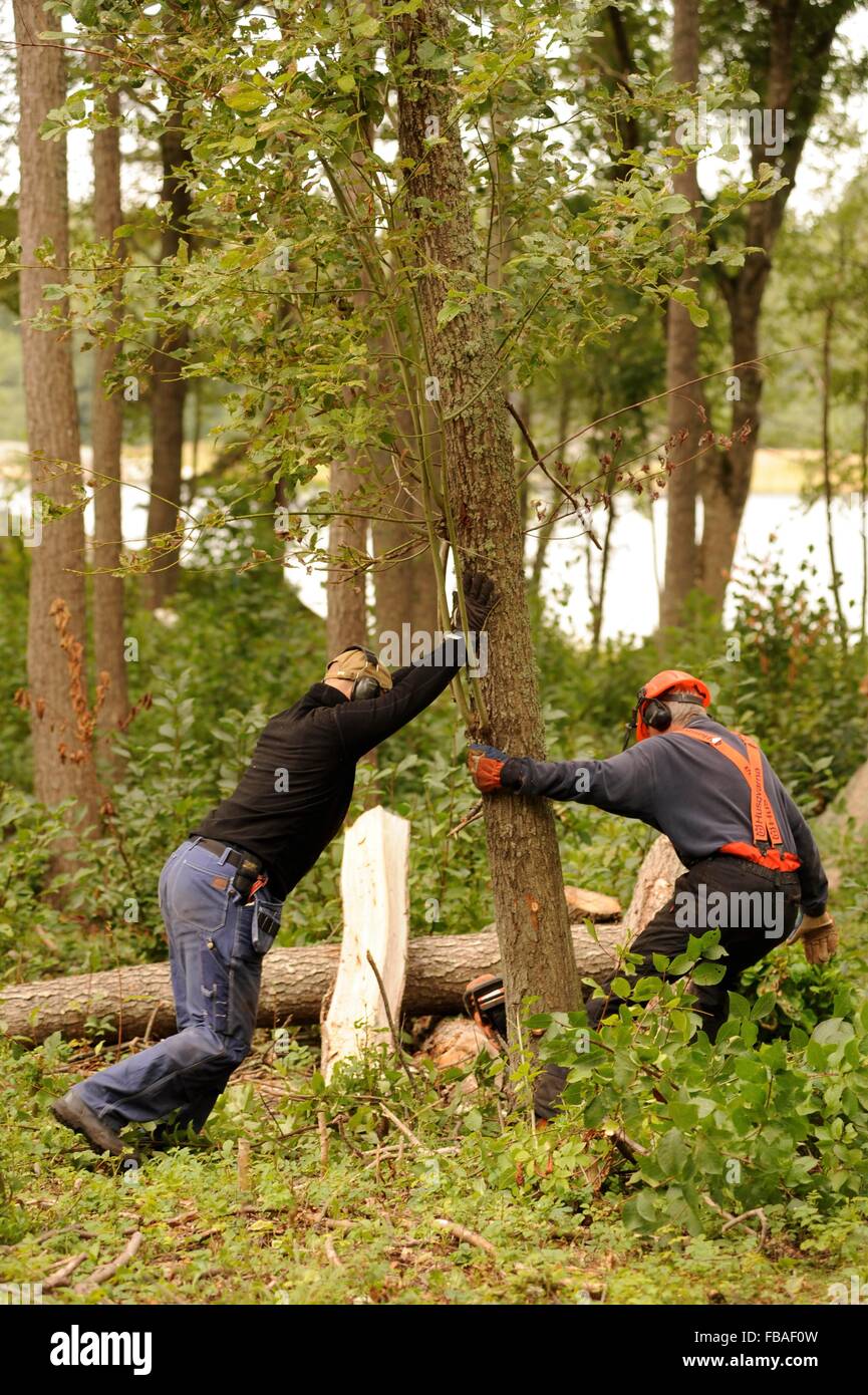 forest rangers in the Stockholm Archipelago, Sweden Stock Photo - Alamy
