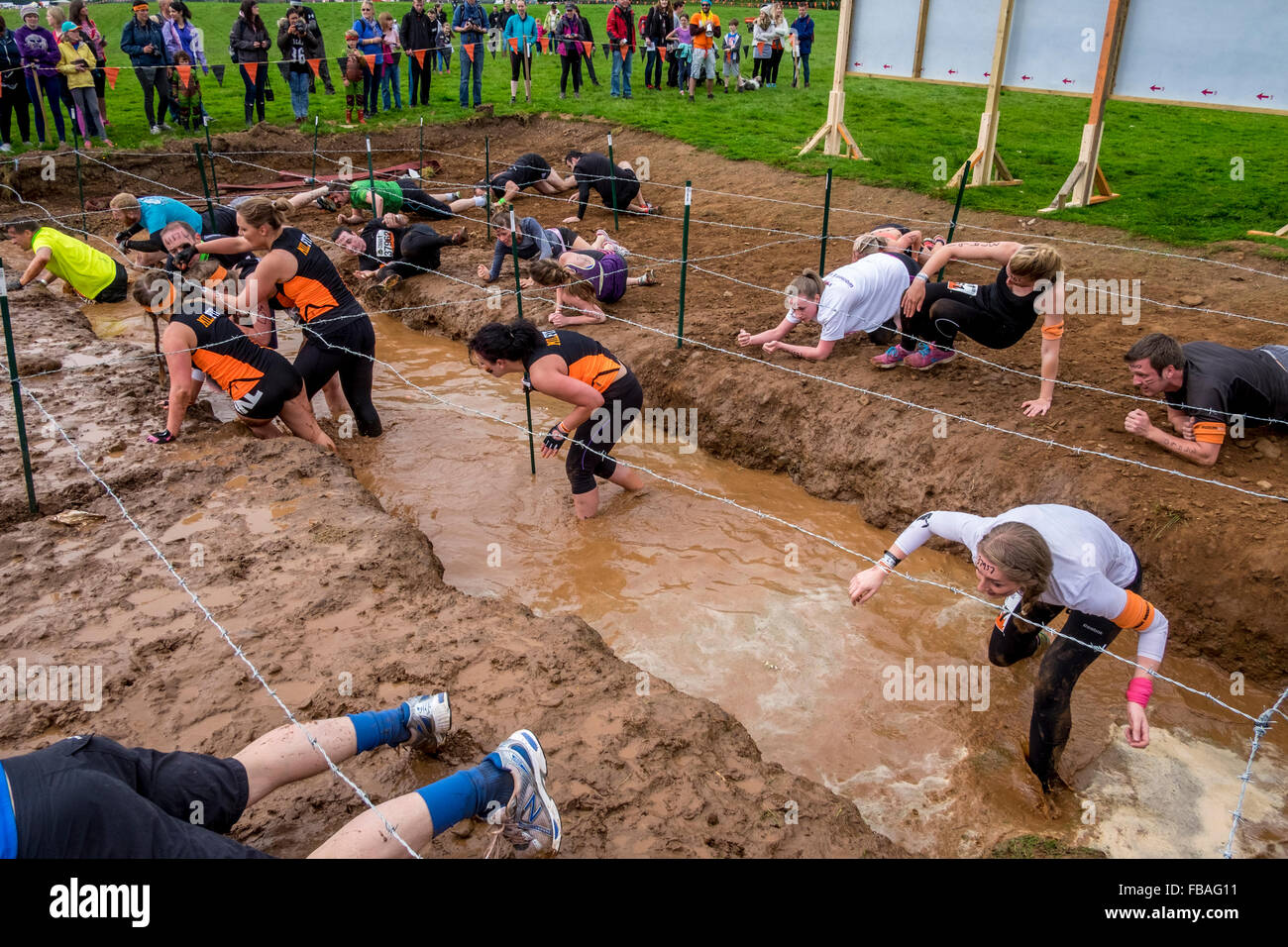 Action in the Tough Mudder challenge at Drumlanrig Castle, Dumfries and ...
